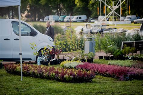 September 2023 Pärnu Taimelaat