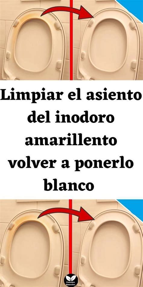 El Truco Genial Para Limpiar Inodoros Y Dejarlos Relucientes Artofit