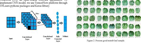 figure 2 from matrib leaf classification using deep neural network an integrated image