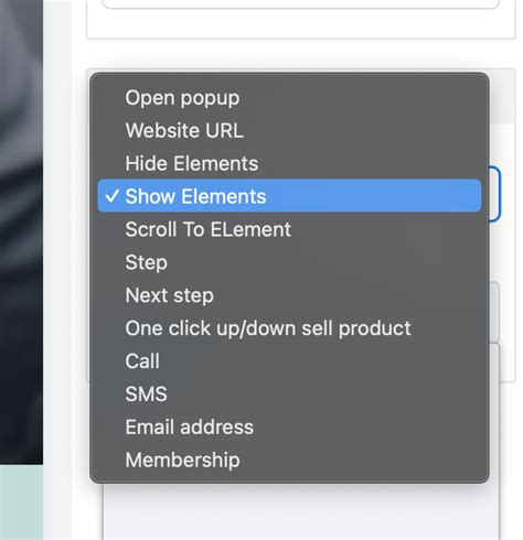 Hide And Show Elements On Button Click Funnels Websites Sheleads