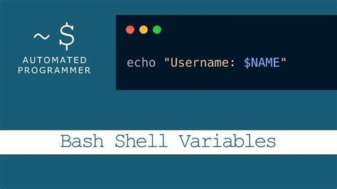 Bash Bool Variable The 20 Correct Answer Brandiscrafts