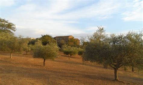 Terreni Agricoli In Vendita B2scout