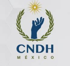 Cómo presentar una queja en la Comisión Nacional de Derechos Humanos