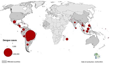 Vacina contra a dengue isso já existe Invivo
