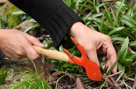 Entretien Du Potager La Liste Des 15 Outils Indispensables