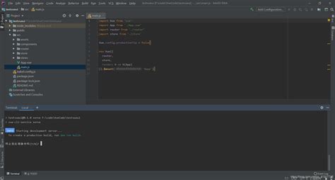 win10中idea如何运行vue项目（超详细） idea中vue怎么在terminal命令执行 csdn博客