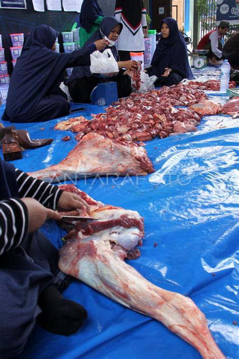 Pembagian Daging Kurban Di Makassar Antara Foto