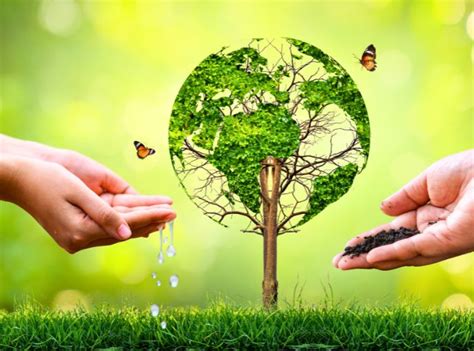 Día Mundial del Medio Ambiente la importancia de una alimentación