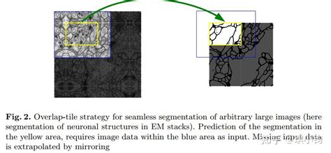 u net ：convolutional networks for biomedical image segmentation 论文详解 知乎