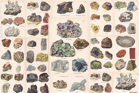24 The Mineral Kingdom Das Mineralreich Printable Antique Etsy