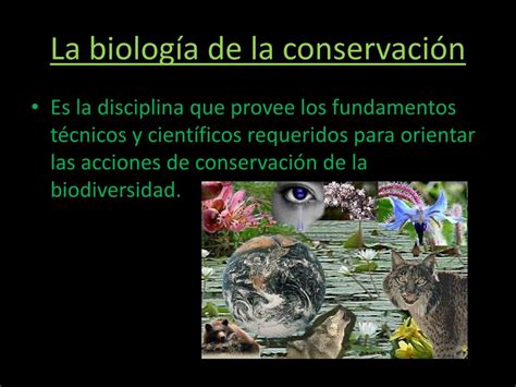 PPT La biología de la conservación PowerPoint Presentation free