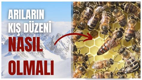 Arıyı Kışa Hazırlamak İçin Arıcının İhtiyaç Duyduğu İpuçları ve Püf