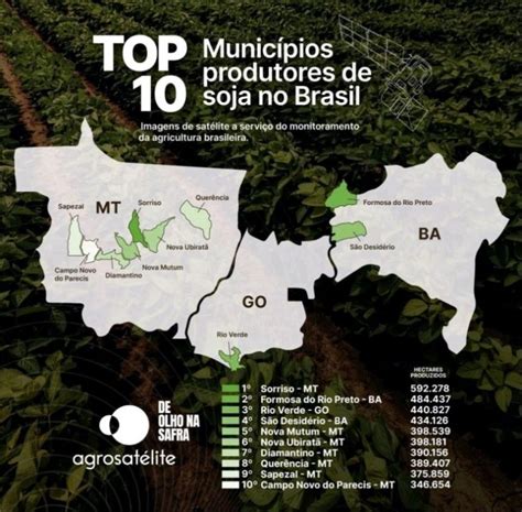 Sorriso Lidera Ranking De Maior Produtor De Soja No Brasil