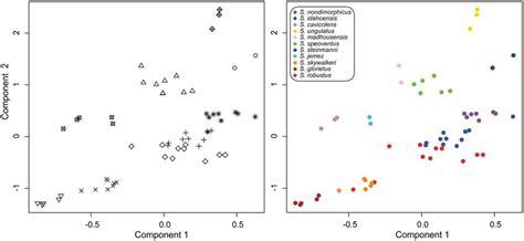 multivariate clustering results left panel specimens grouped by download scientific diagram