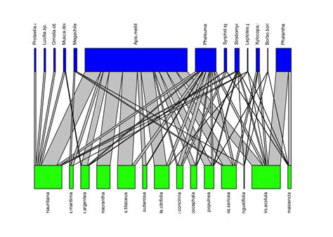 Network Analysis