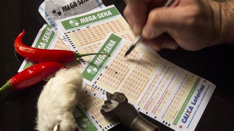 Mega Sena bolão 44 pessoas leva prêmio de R 122 milhões