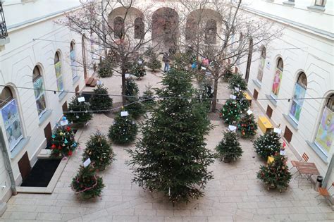 Rászoruló családok otthonait díszítik majd Obuda hu