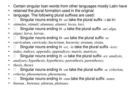 50 Examples Of Singular And Plural Nouns In Sentences 49 OFF