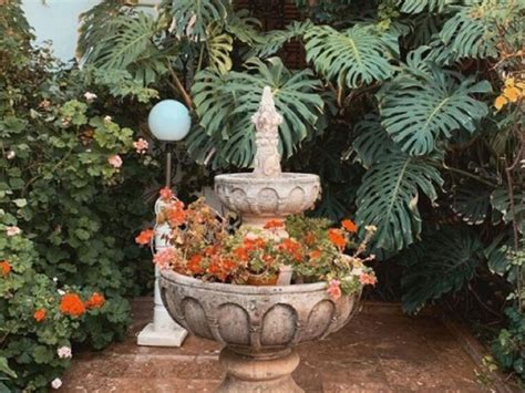 Embellece Tu Espacio Descubre C Mo Crear Jardines Peque Os Con Flores