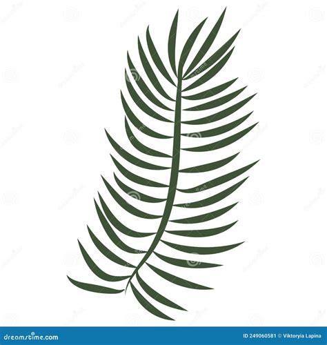 Palm Leaves Drawn With Lines In The Style Of Linear Art Isolated On A