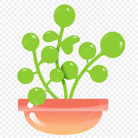Plantas En Macetas Plantas En Macetas Caseras Plantas Frescas