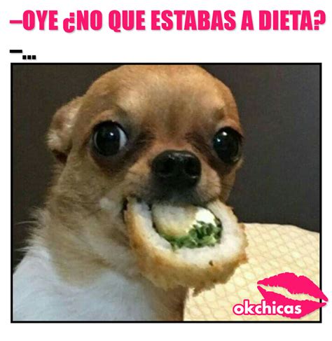 Memes De Perros Que Te Har N Llorar De La Risa