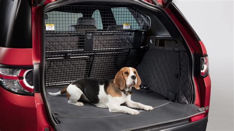 Como Transportar O Cachorro No Carro Mundo Dos Cachorros
