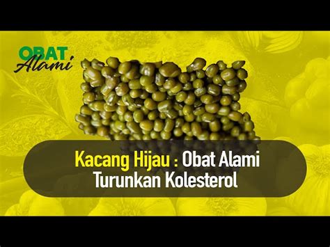 5 Manfaat Kacang Hijau Yang Perlu Diketahui Biotifor