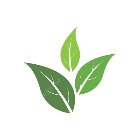 葉標誌矢量圖標設計模板設計符號彈簧 向量 设计 象徵 春天向量圖案素材免費下載PNGEPS和AI素材下載 Pngtree