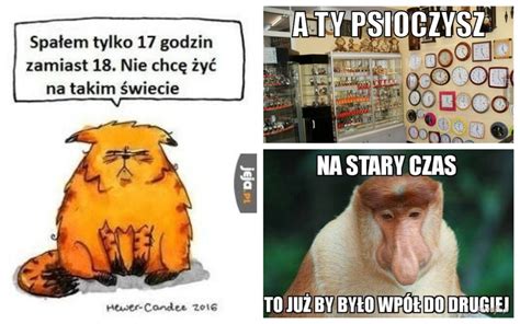 Zmiana czasu okiem internautów Śpimy dłużej czy krócej Zobacz
