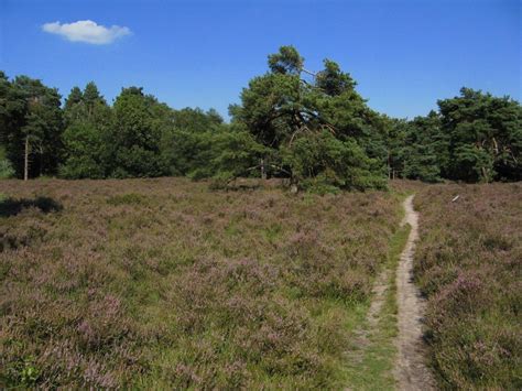 De 5 Mooiste Wandelroutes In Oldenzaal Om Twente Te Ontdekken Visit