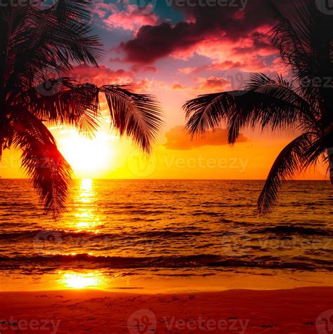 Beautiful Sunset Tropical Beach With Palm Tree And Pink Sky For Travel
