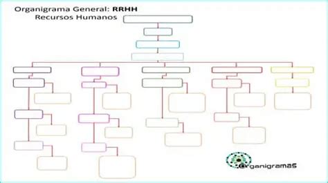 Plantillas De Organigramas Para Empresas 2024 GRATIS