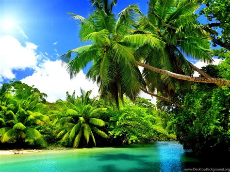 Full Screen Desktop Nature Hd Wallpapers Wallpaper Cave