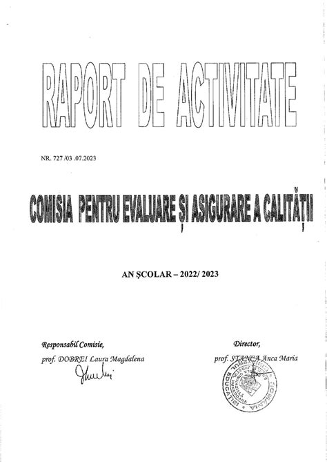 Raport De Activitate Ceac Pentru Anul Colar Scoala Soimus