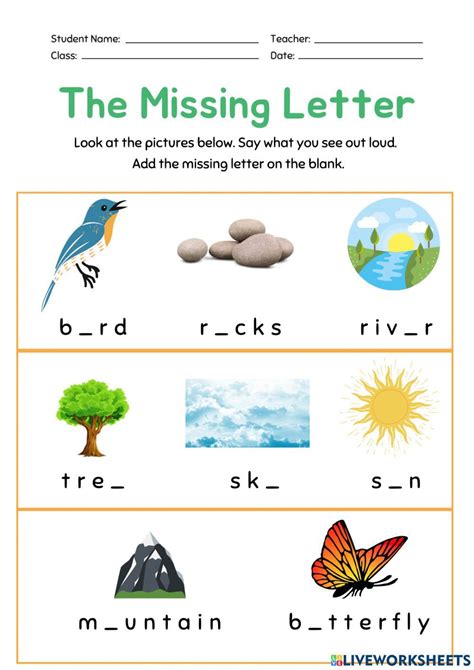 The Missing Letter Worksheet With Pictures And Words To Help Students