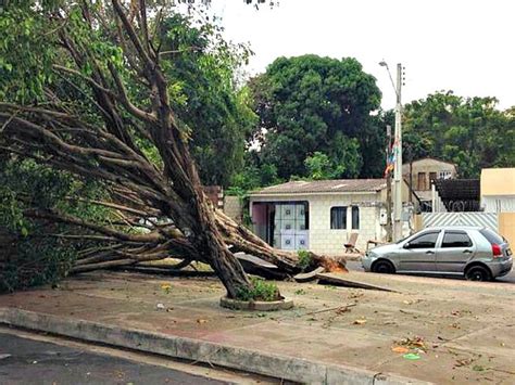 G1 Rajadas De Vento De 91 8 Km H Atingem Manaus Durante Tempestade