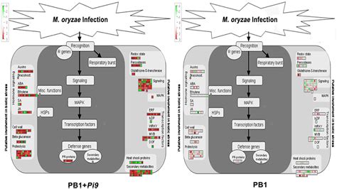 frontiers understanding host pathogen interactions with expression profiling of nils carrying