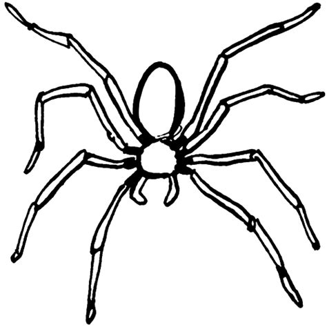 Dibujos De Ara As Para Colorear Descargar E Imprimir Colorear Im Genes