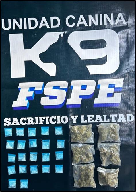 Elementos de la Unidad Canina K9 de las FSPE aseguran en Pénjamo y
