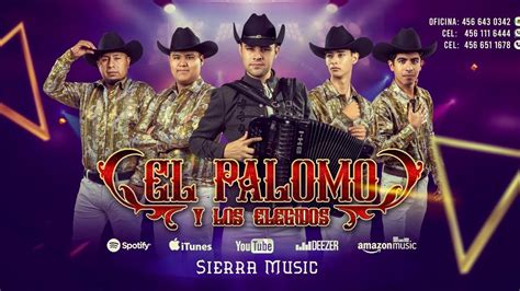 El Taca Taca Ta Huapango Youtube