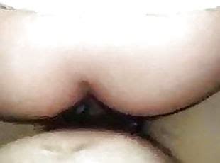 Mongol Tits Pussy Nipples Stocks Telegraph