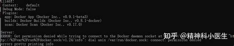 docker 安装后，查看信息出现got permission denied while trying to connect to the docker daemon socket at