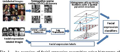 figure 1 from improving facial expression analysis using histograms of log transformed