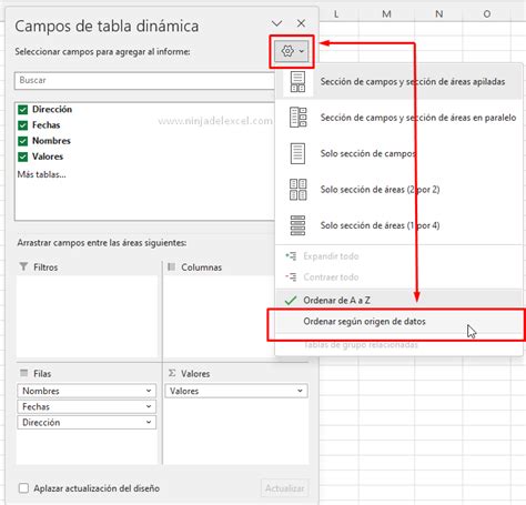 Cambiar el Orden de los Campos de la Tabla Dinámica en Excel Ninja