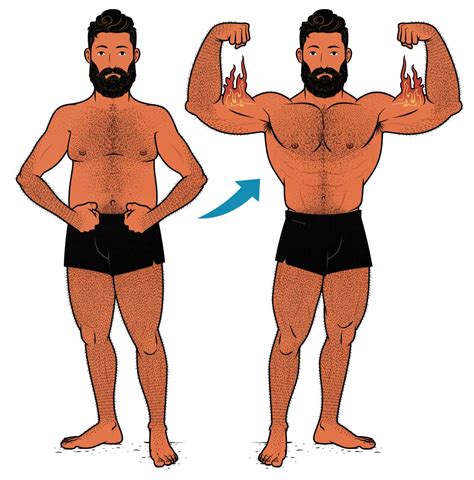 The Best Upper Lower Workout Split For Building Muscle