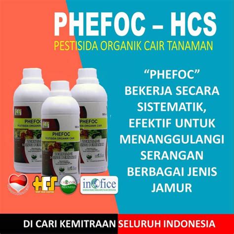 Jual PHEFOC HCS Insektisida Pestisida Organik Anti Lalat Kutu Daun
