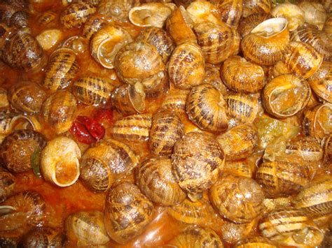 Receta De Caracoles En Salsa Tradicional Y Variantes