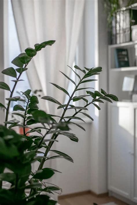 6 Tipps Zum Arbeitszimmer Einrichten Artofit