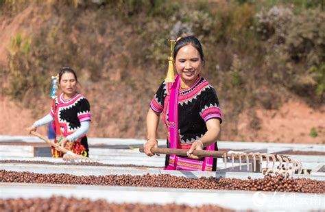 SW Chinas Yunnan Redoubles Efforts To Boost Coffee Bean Sales 6